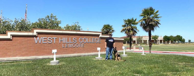 From Devil Dog to Golden Eagle: A West Hills College Lemoore Veteran ...
